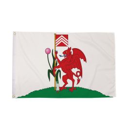 Buy Cardiff Flag | Midland Flags