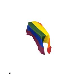 Buy Rainbow Coffin Drape Flag | Midland Flags